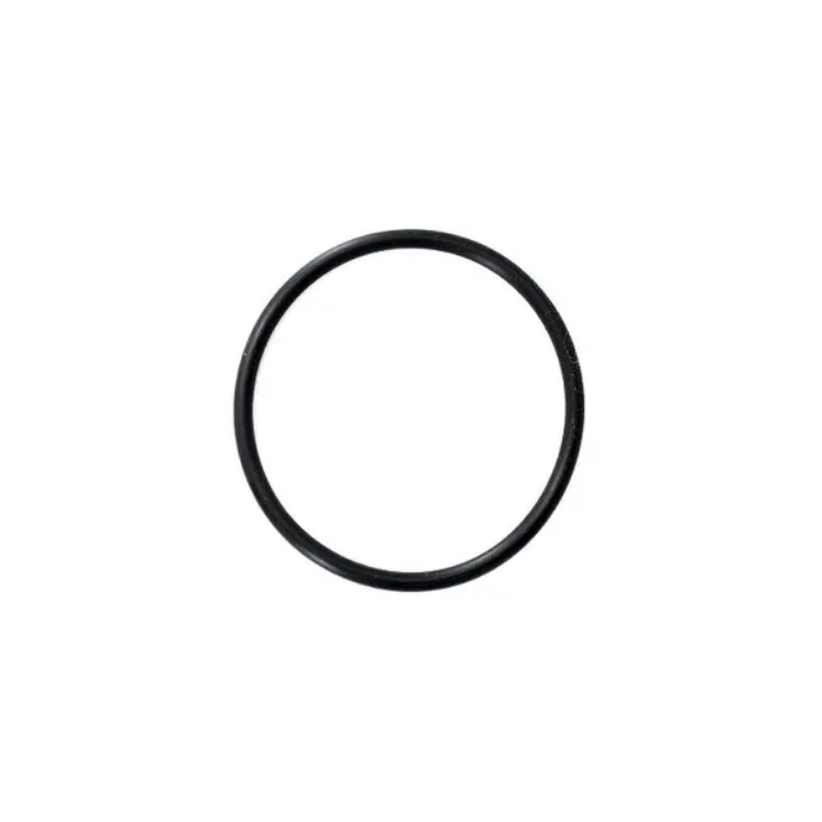 Shop Replacement Cell O-Rings for Pool Chlorinators Online in Australia ...